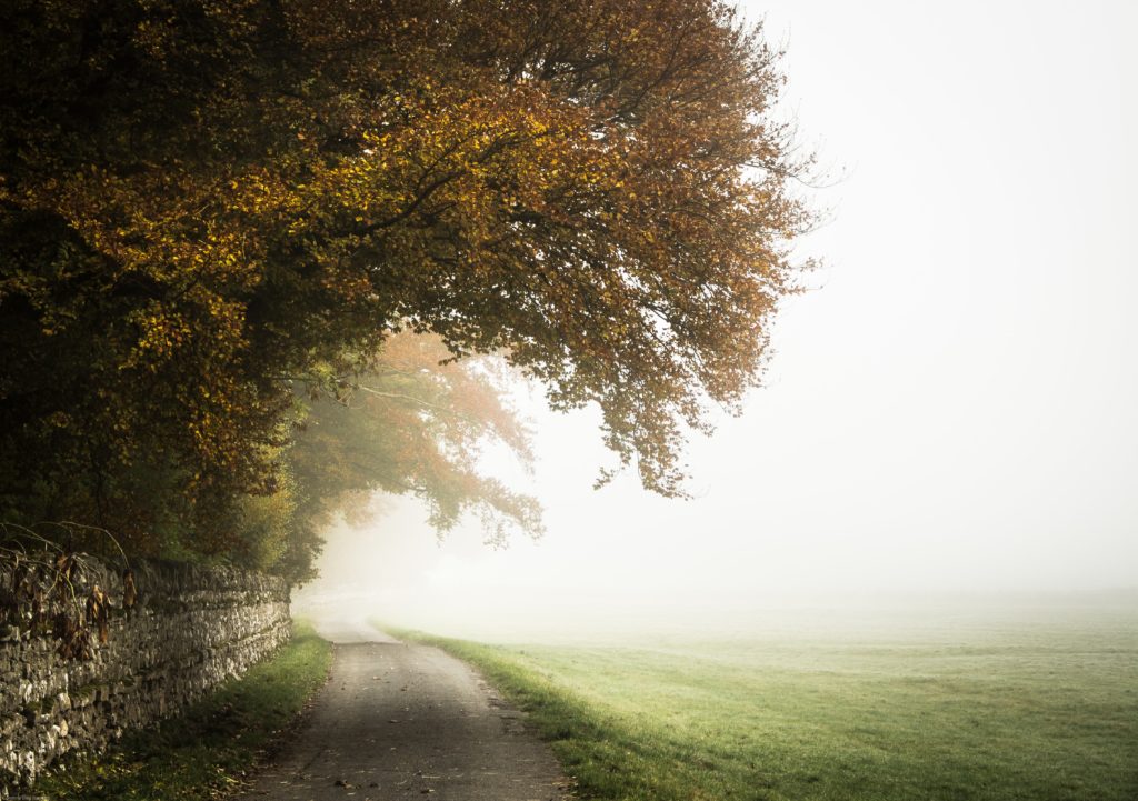 Clear the Fog for Leadership Dev | The Executive Group